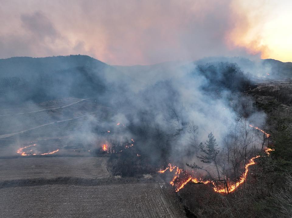 South Korean wildfires spread, three more disaster zones named – The ...